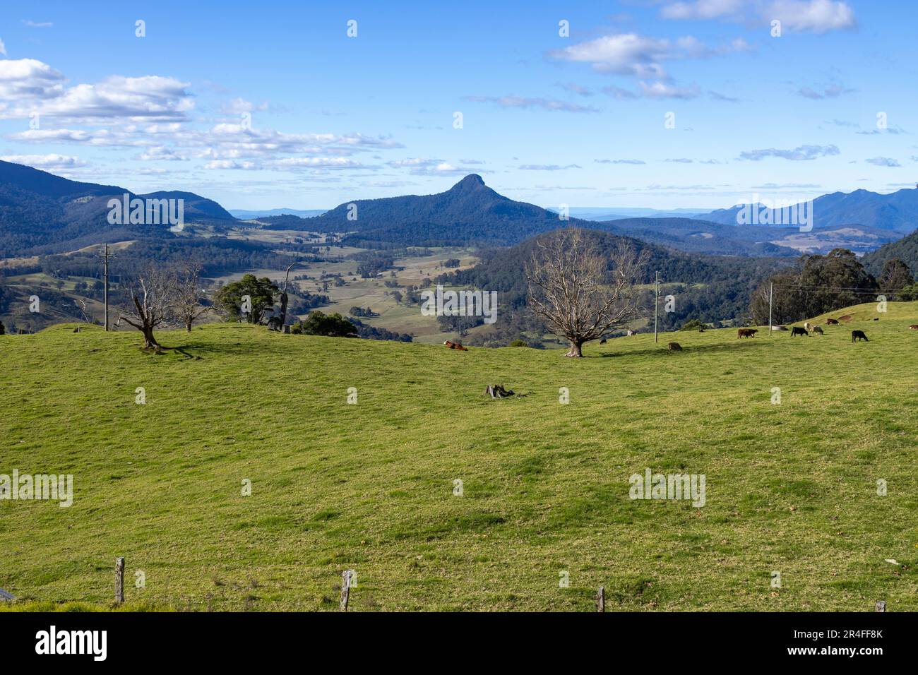 Main range national park queensland hi-res stock photography and images ...