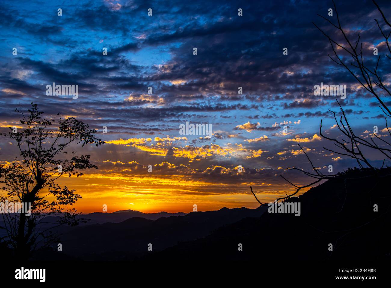 tree against Panorama colorful magnificent sunset in countryside above ...