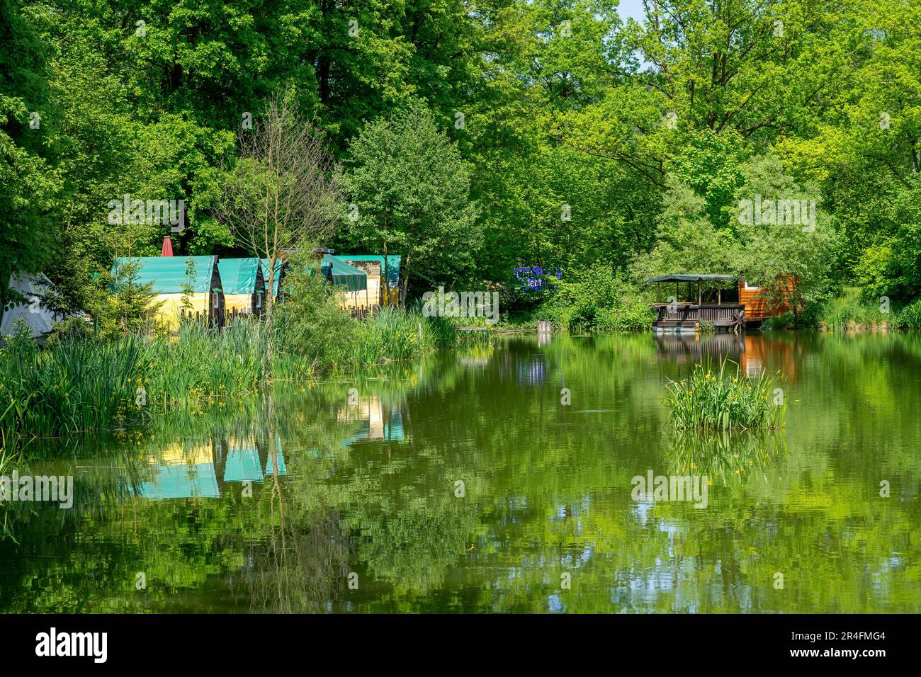 camping on the lake in germany Stock Photo - Alamy