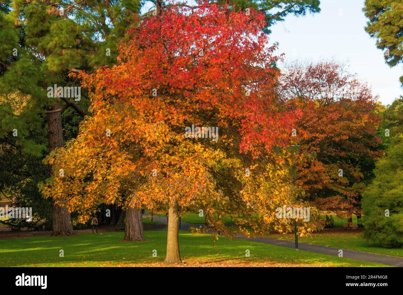 Fitzroy gardens hi-res stock photography and images - Alamy