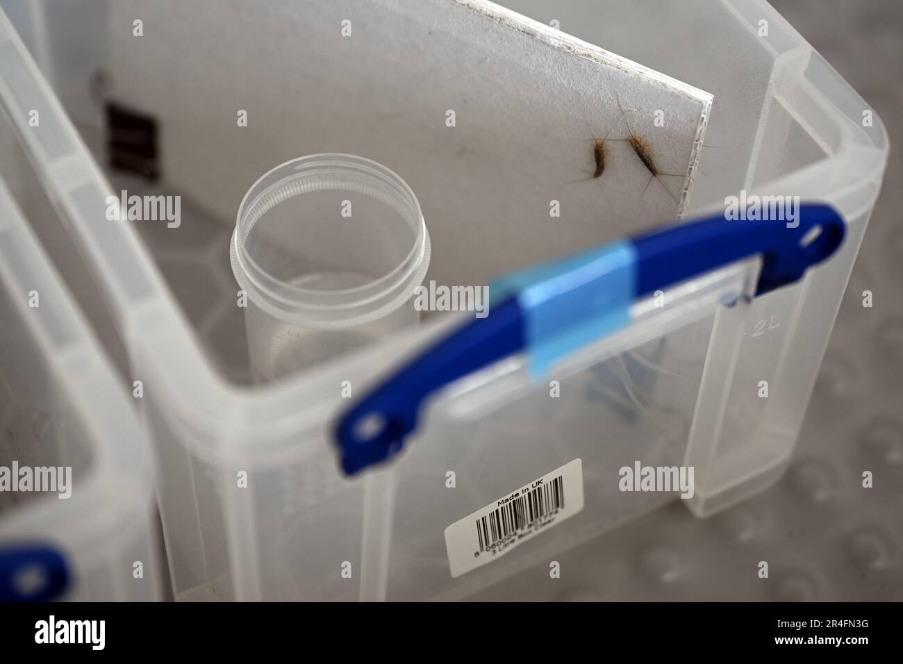 PRODUCTION - 16 May 2023, North Rhine-Westphalia, Cologne: Paper fish ...