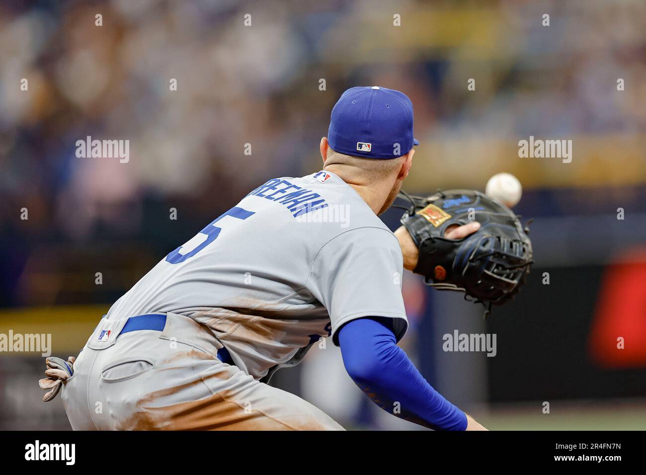 St. Petersburg, FL USA; Los Angeles Dodgers first baseman Freddie ...
