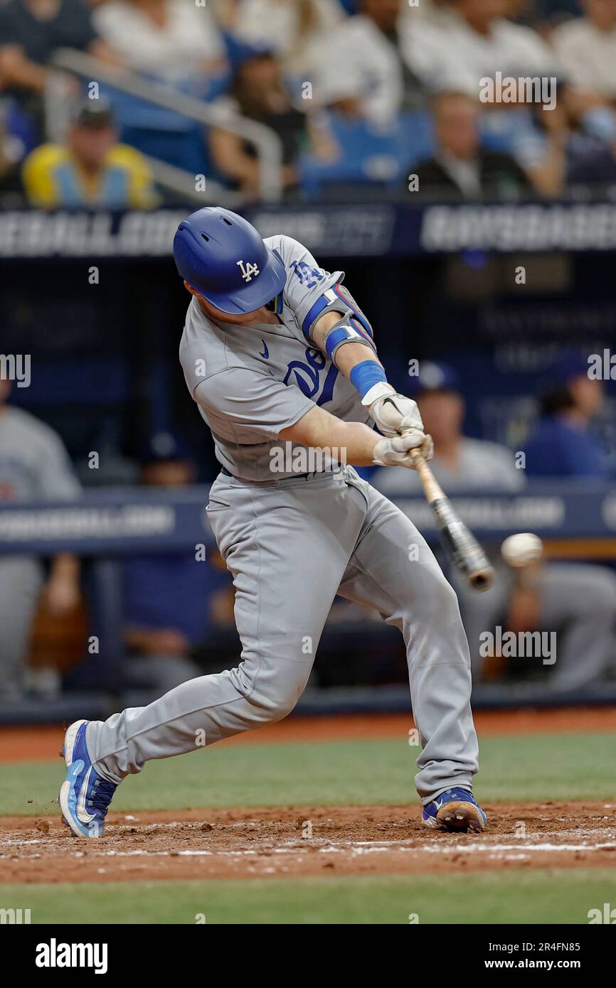 St. Petersburg, FL USA; Los Angeles Dodgers catcher Will Smith (16 ...