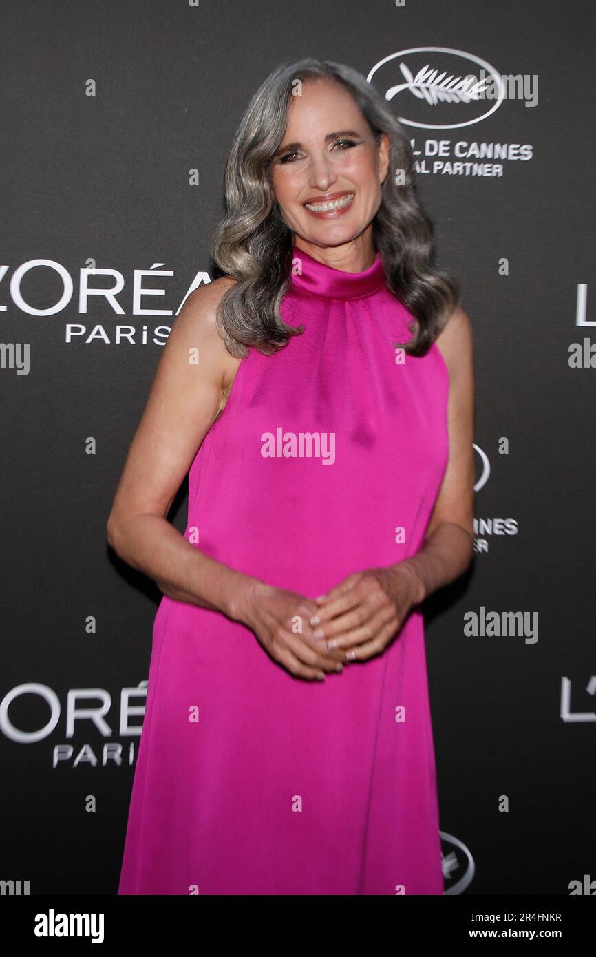 Andie McDowellattends the the L’Oreal - Light on Women Award Dinner ...