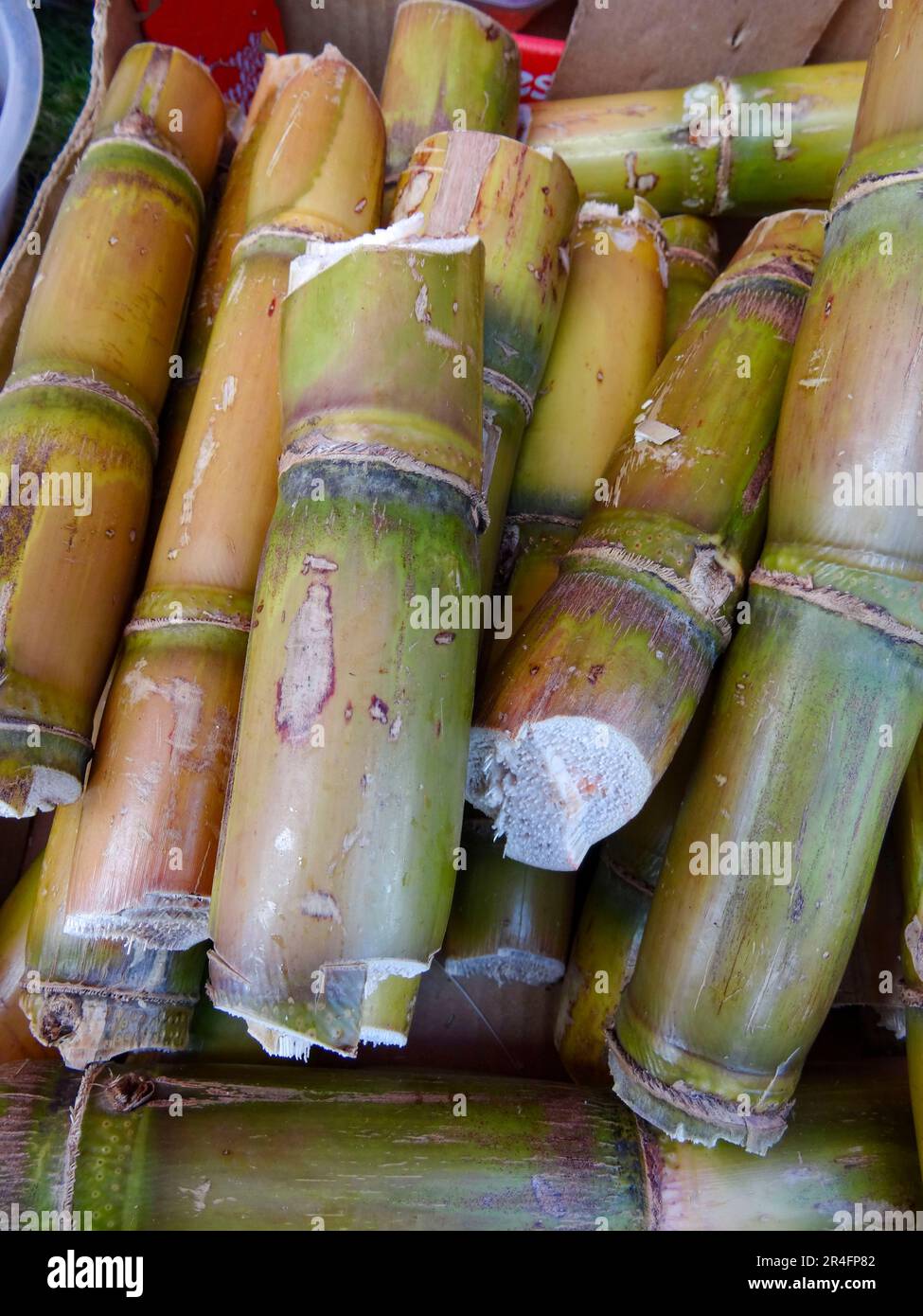 Indentured labourers sugarcane hi-res stock photography and images - Alamy
