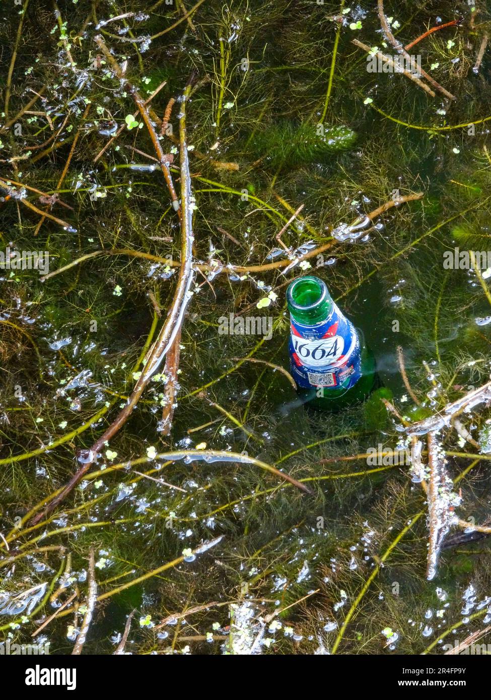Flotsam and jetsam, as environmental pollution out of season, near the ...