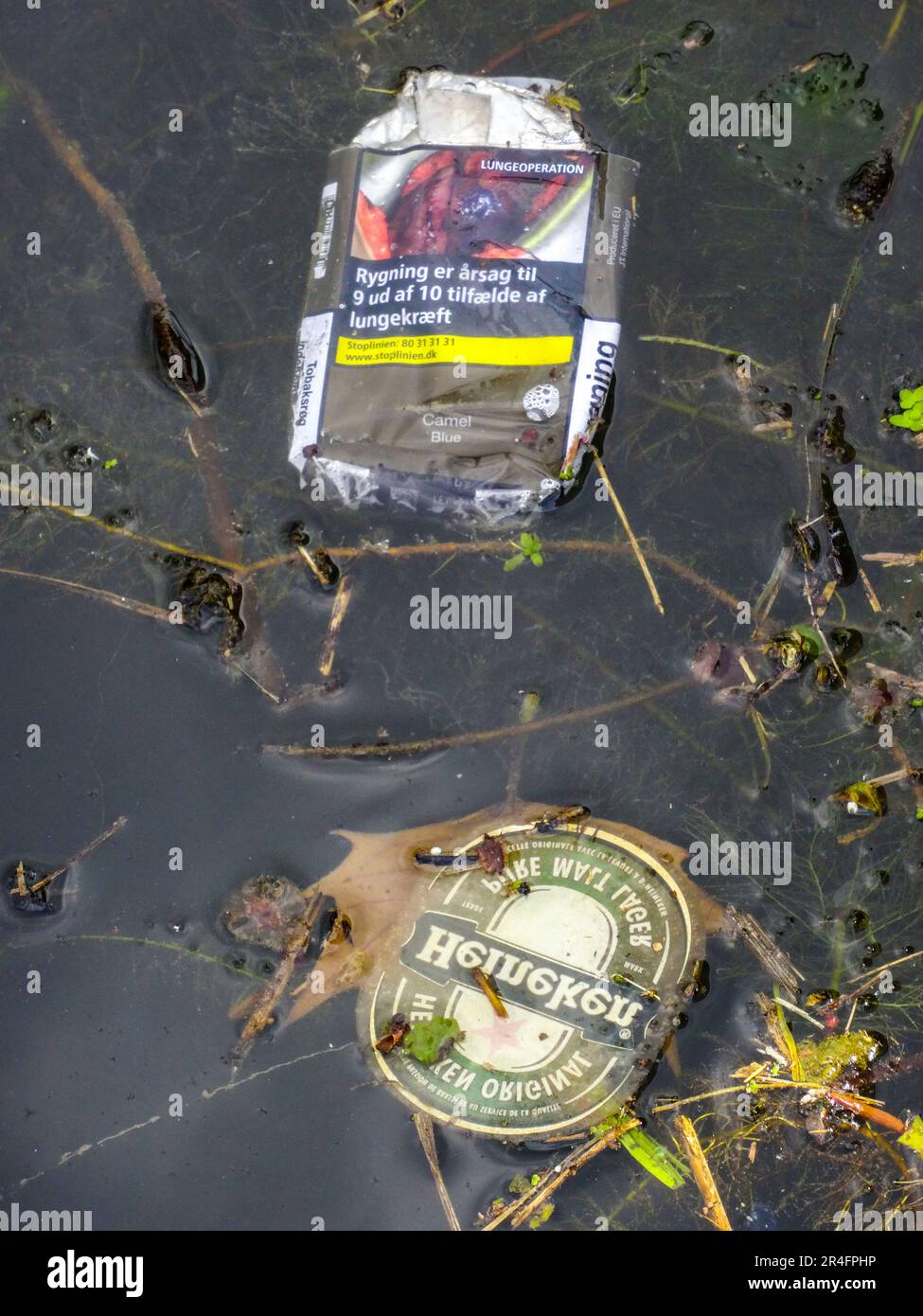 Flotsam and jetsam, as environmental pollution out of season, near the ...