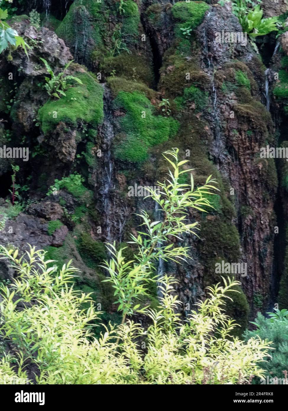 Intimate landscape spring blooming hi-res stock photography and images ...