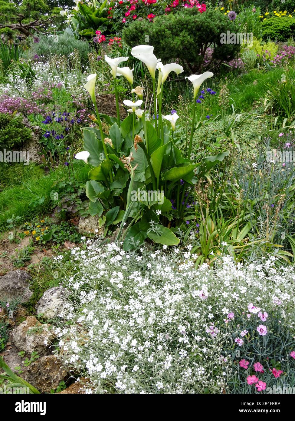 Intimate landscape of spring blooming in the beautiful Parque Monceau ...