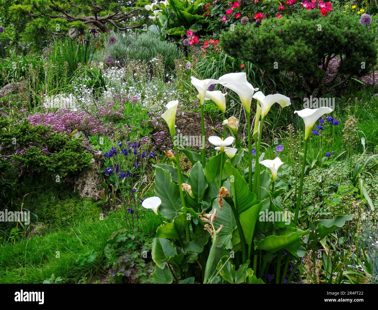 Intimate landscape spring blooming hi-res stock photography and images ...
