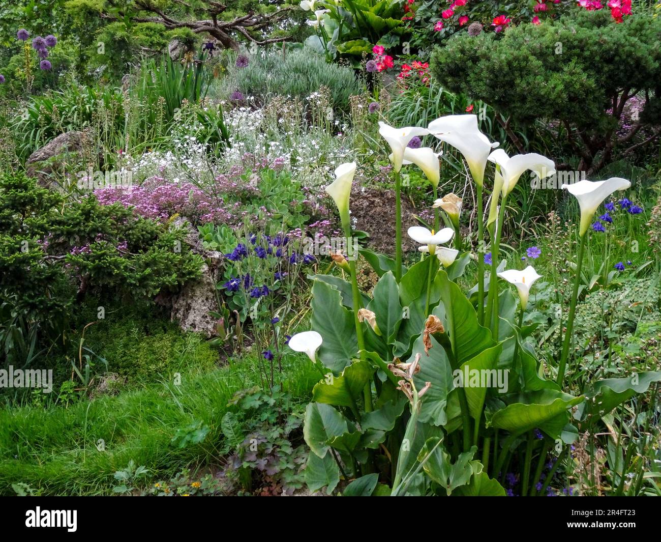 Intimate landscape of spring blooming in the beautiful Parque Monceau ...