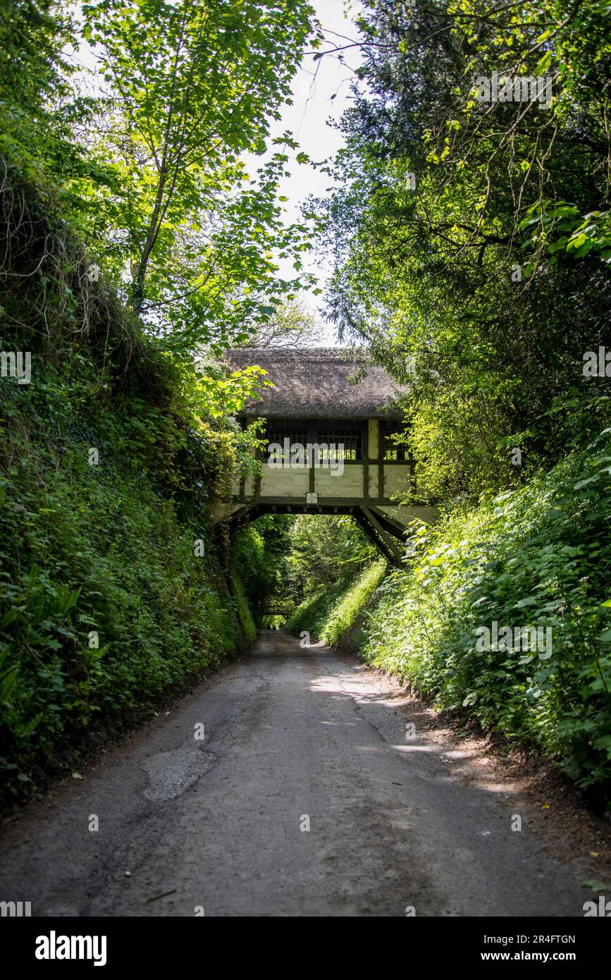 Covered bridge over a road in Surrey Hills, Surrey, England, UK Stock ...