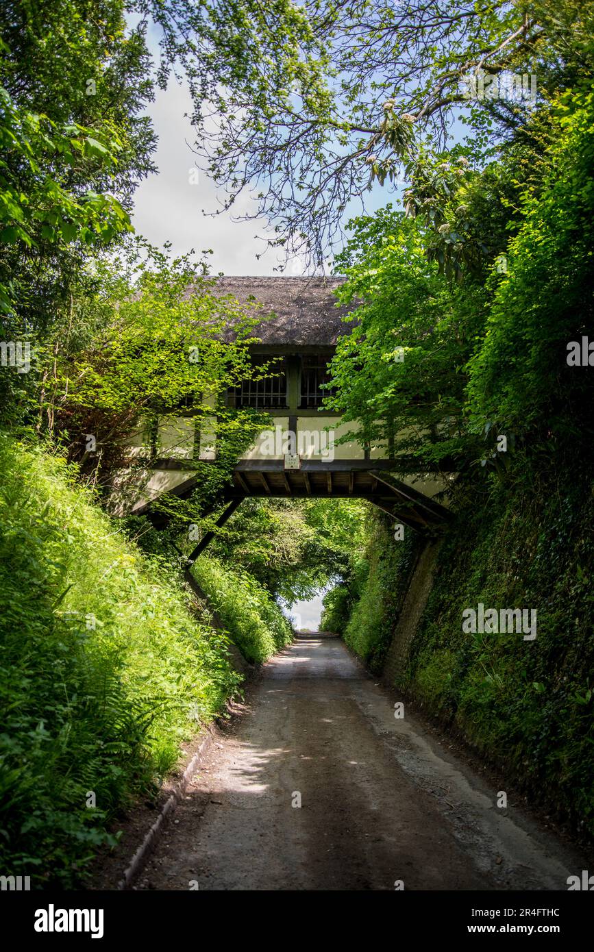 Covered bridge over a road in Surrey Hills, Surrey, England, UK Stock ...