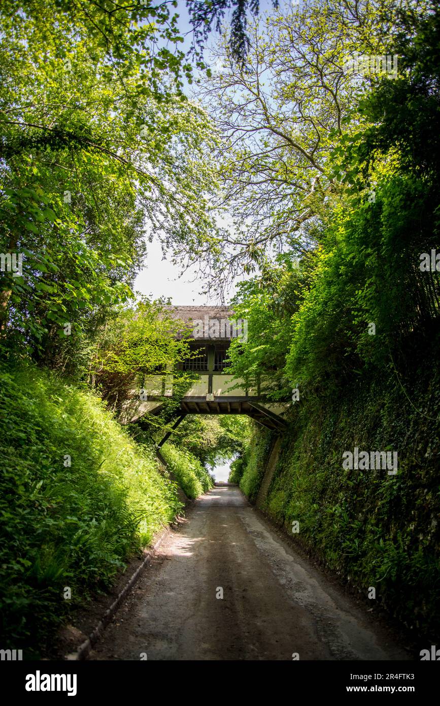 Covered bridge over a road in Surrey Hills, Surrey, England, UK Stock ...