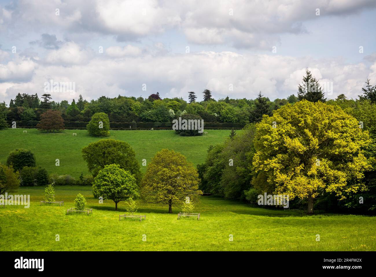 Surrey Hills, designated as Area of Outstanding Natural Beauty, Surrey ...