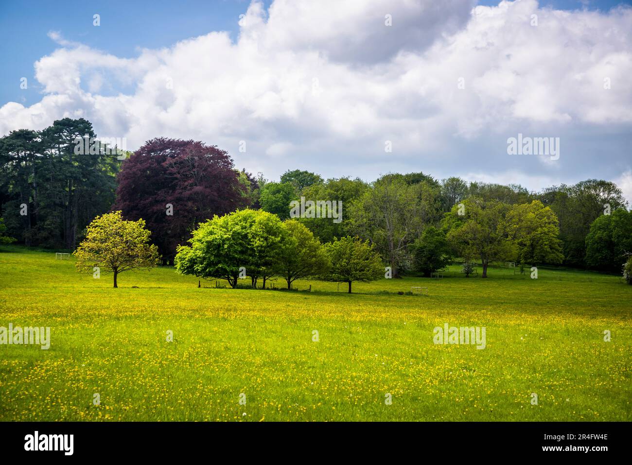 Surrey Hills, designated as Area of Outstanding Natural Beauty, Surrey ...