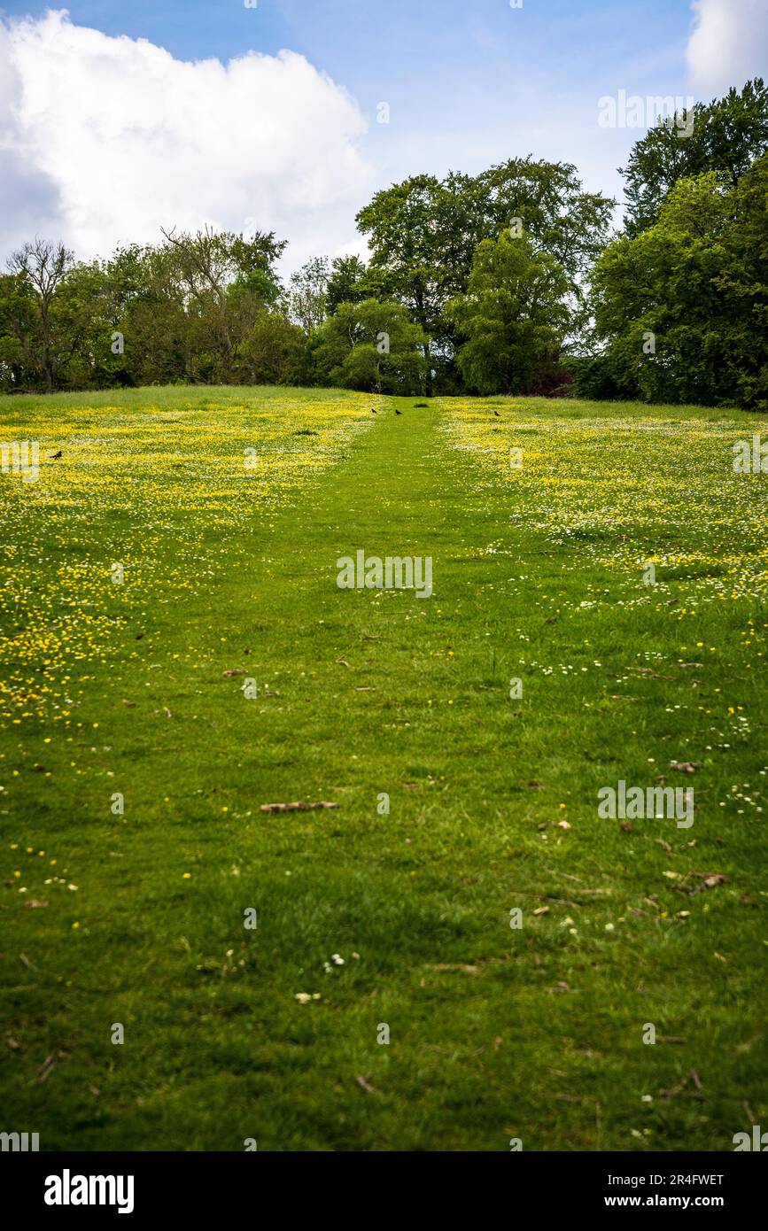 Surrey Hills, designated as Area of Outstanding Natural Beauty, Surrey ...