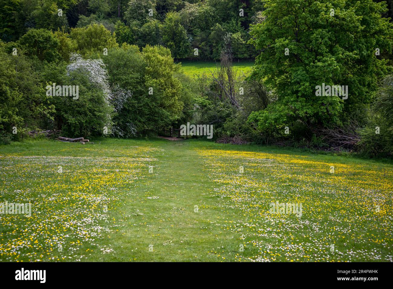 Surrey Hills, designated as Area of Outstanding Natural Beauty, Surrey ...