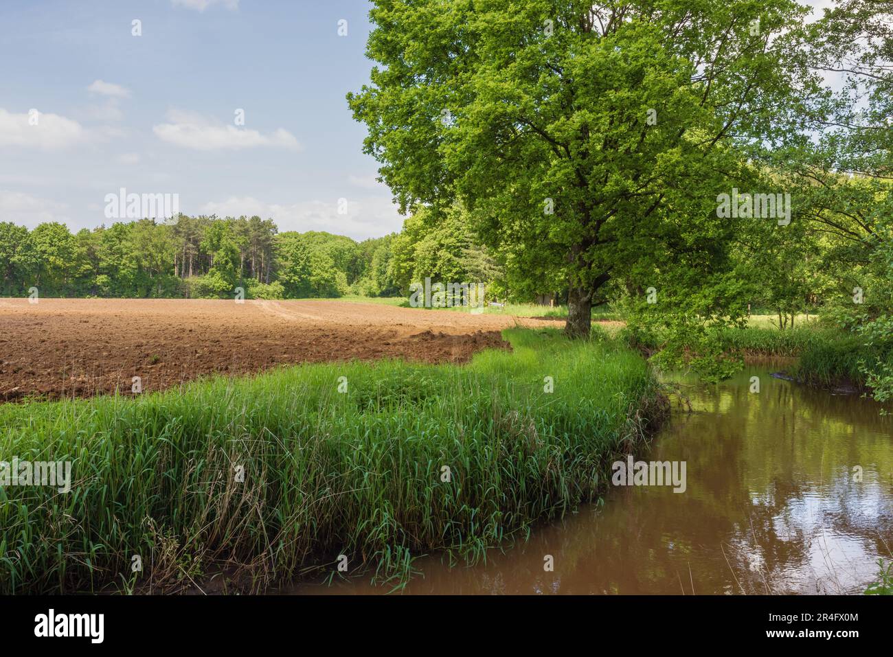 Farmland in the Campine along the shores of the Grote Nete Stock Photo ...