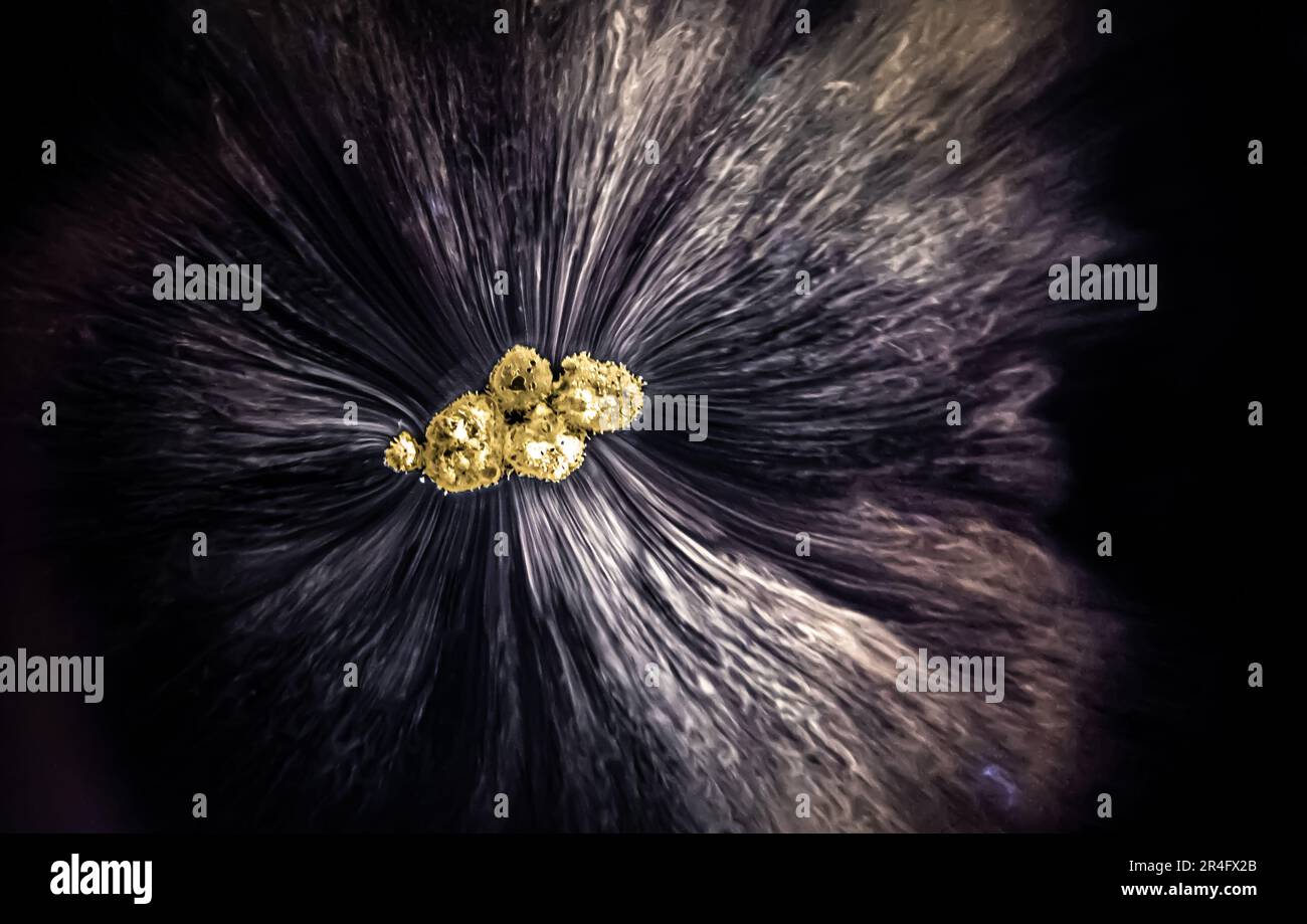 Vaporizing Dry Ice Crystal In Laboratory Simulating The Effect Of an ...
