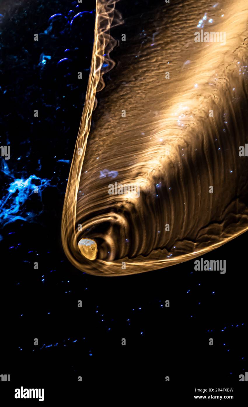 Vaporizing Dry Ice Crystal In Laboratory Simulating The Effect Of an ...