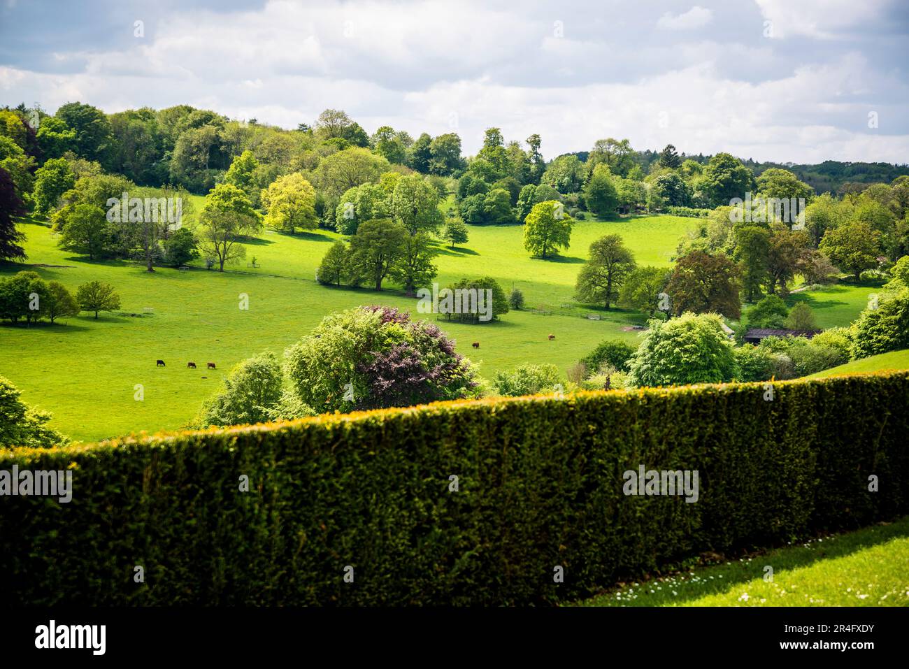Surrey Hills Area of Outstanding Natural Beauty, Surrey, England, UK ...
