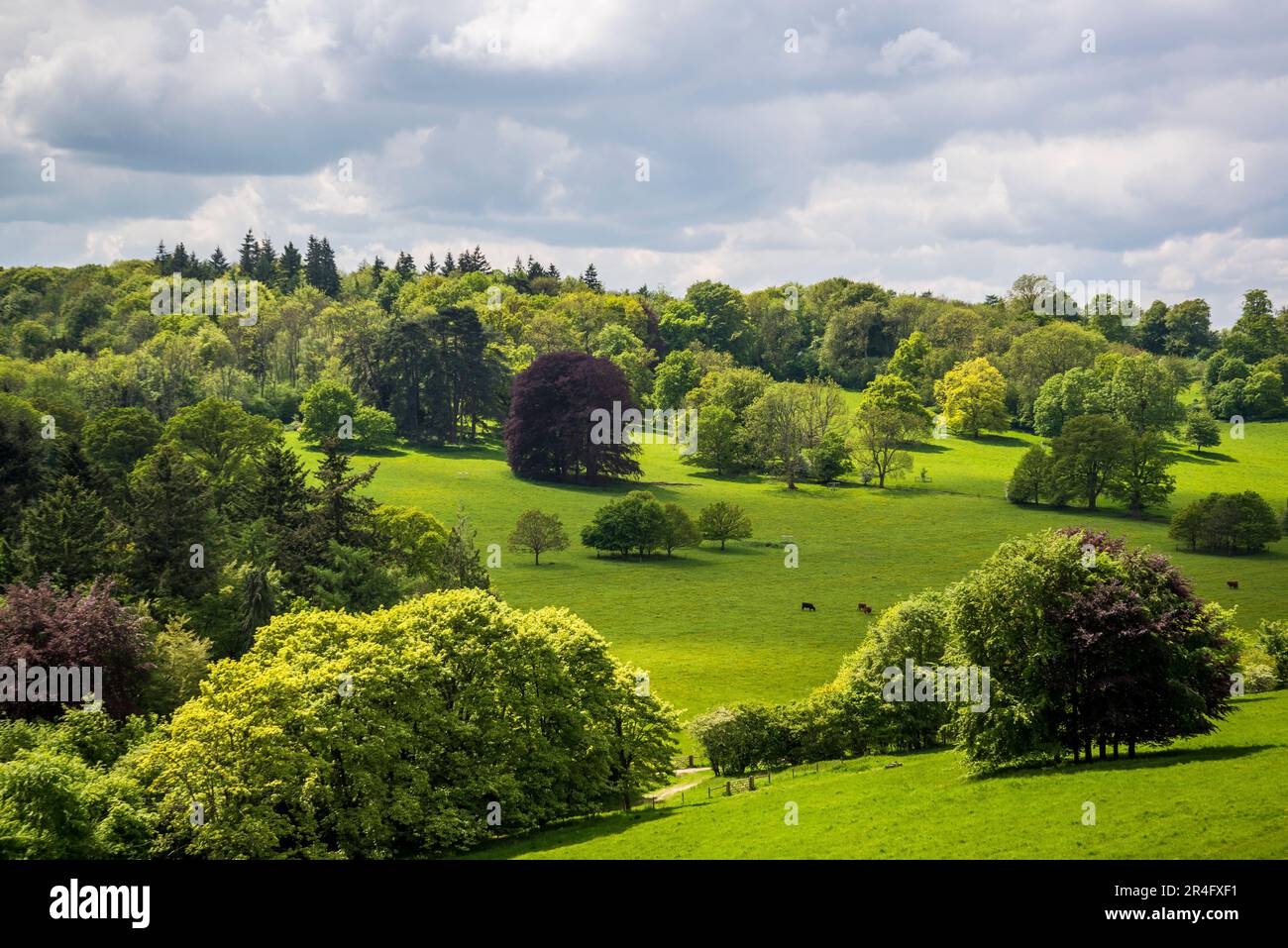 Surrey Hills Area of Outstanding Natural Beauty, Surrey, England, UK ...
