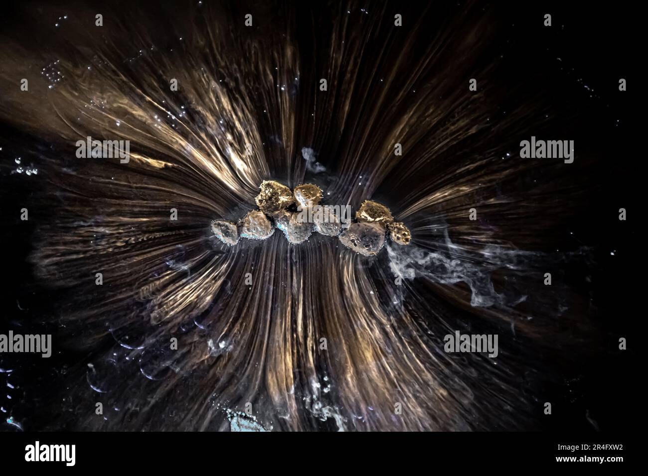 Vaporizing Dry Ice Crystal In Laboratory Simulating The Effect Of an ...