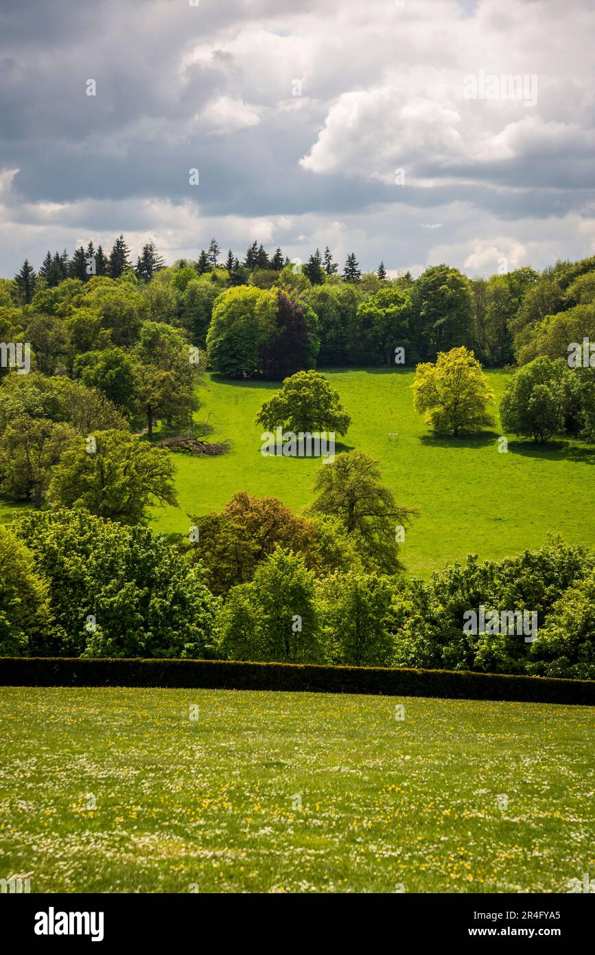 Surrey Hills Area of Outstanding Natural Beauty, Surrey, England, UK ...