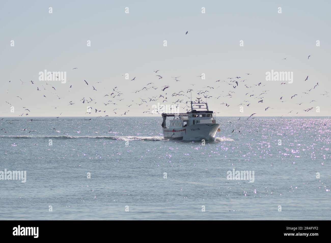 Birds flying around fishing boat hi-res stock photography and images ...