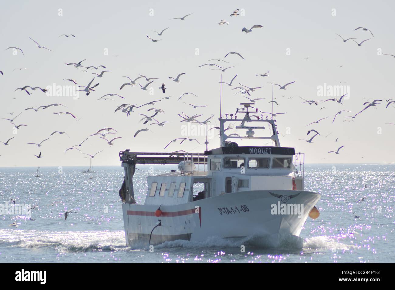 Birds flying around fishing boat hi-res stock photography and images ...