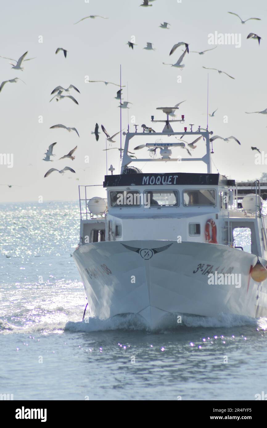 Birds flying around fishing boat hi-res stock photography and images ...