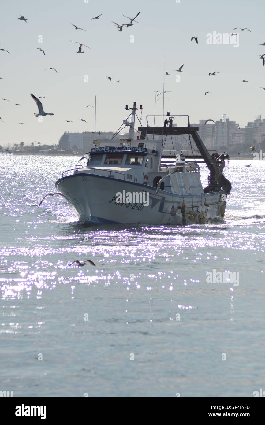 Birds flying around fishing boat hi-res stock photography and images ...