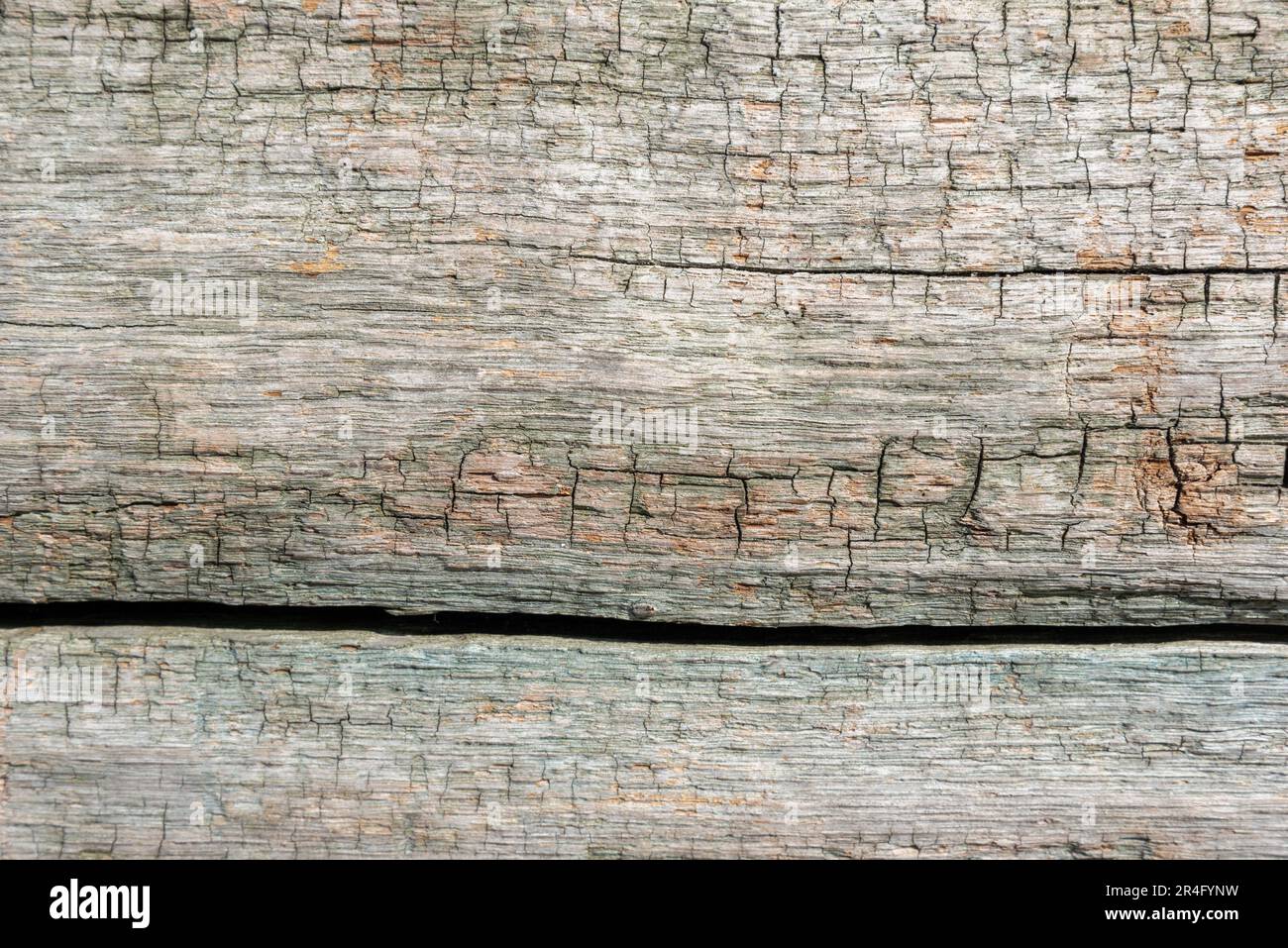 Surface detail from an old piece of driftwood timber Stock Photo - Alamy