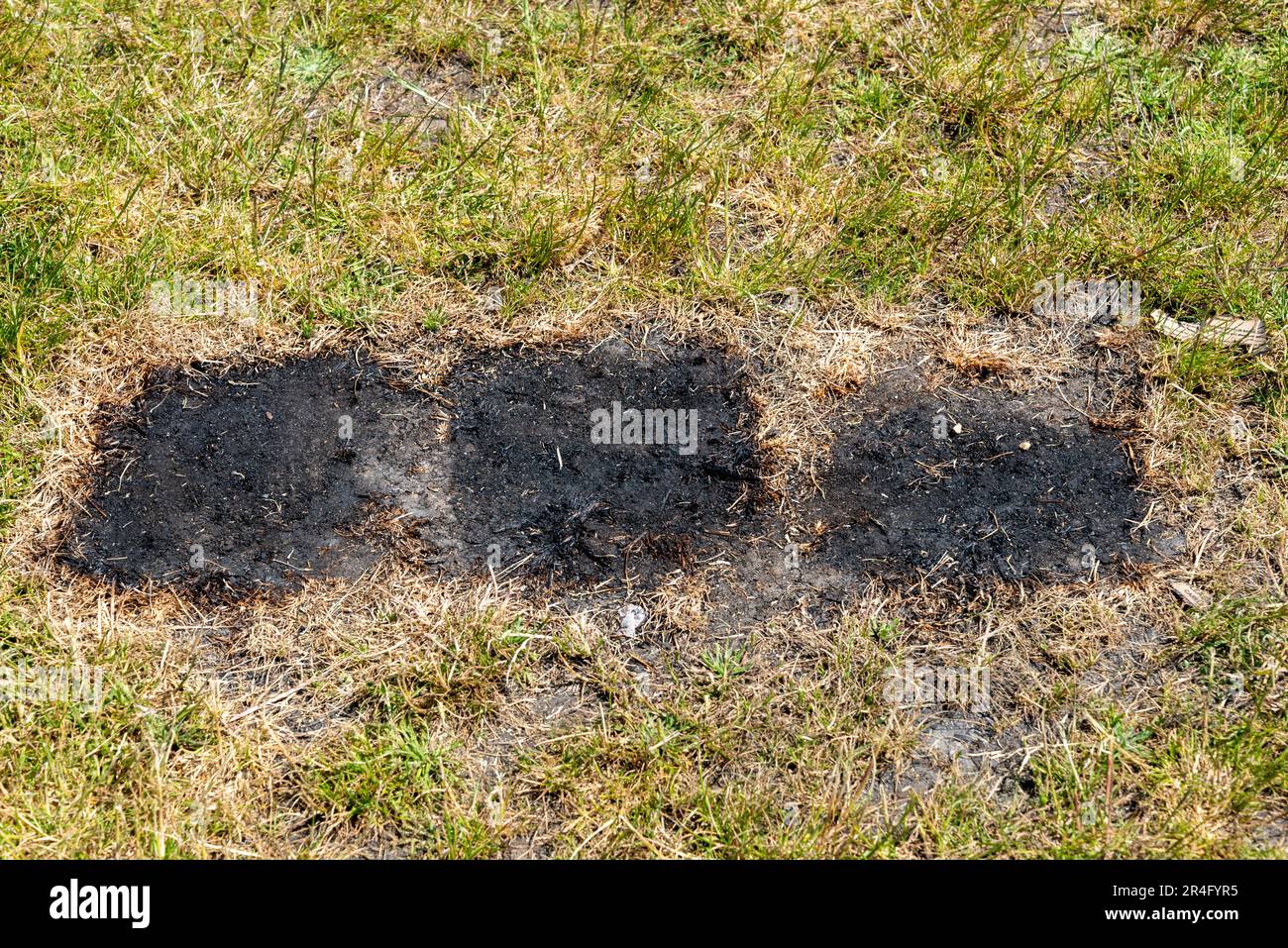 Burnt area of grass due to someone having an outdoor barbeque Stock ...