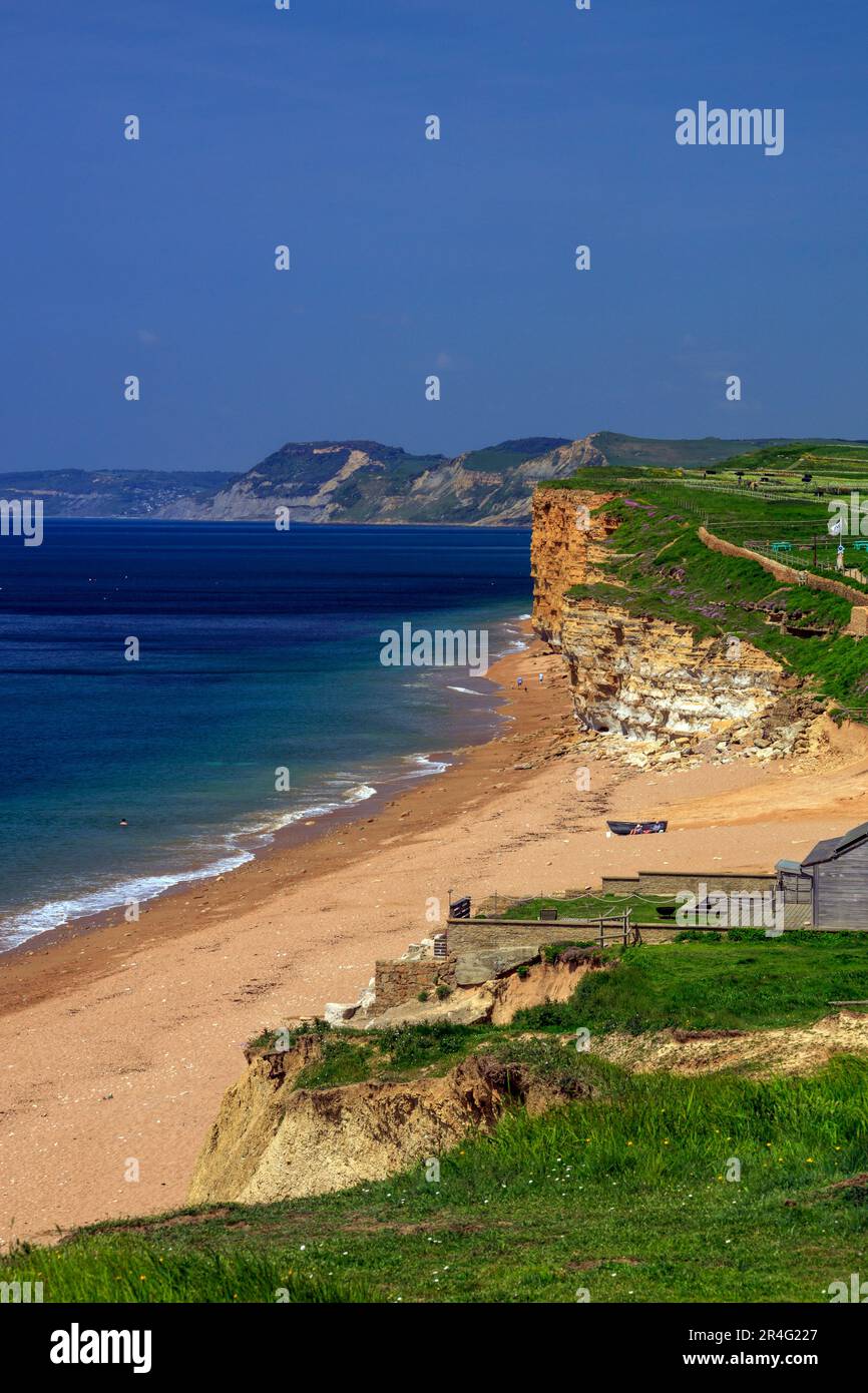 The dramatic and unstable sandstone cliffs at Burton Bradstock are a ...