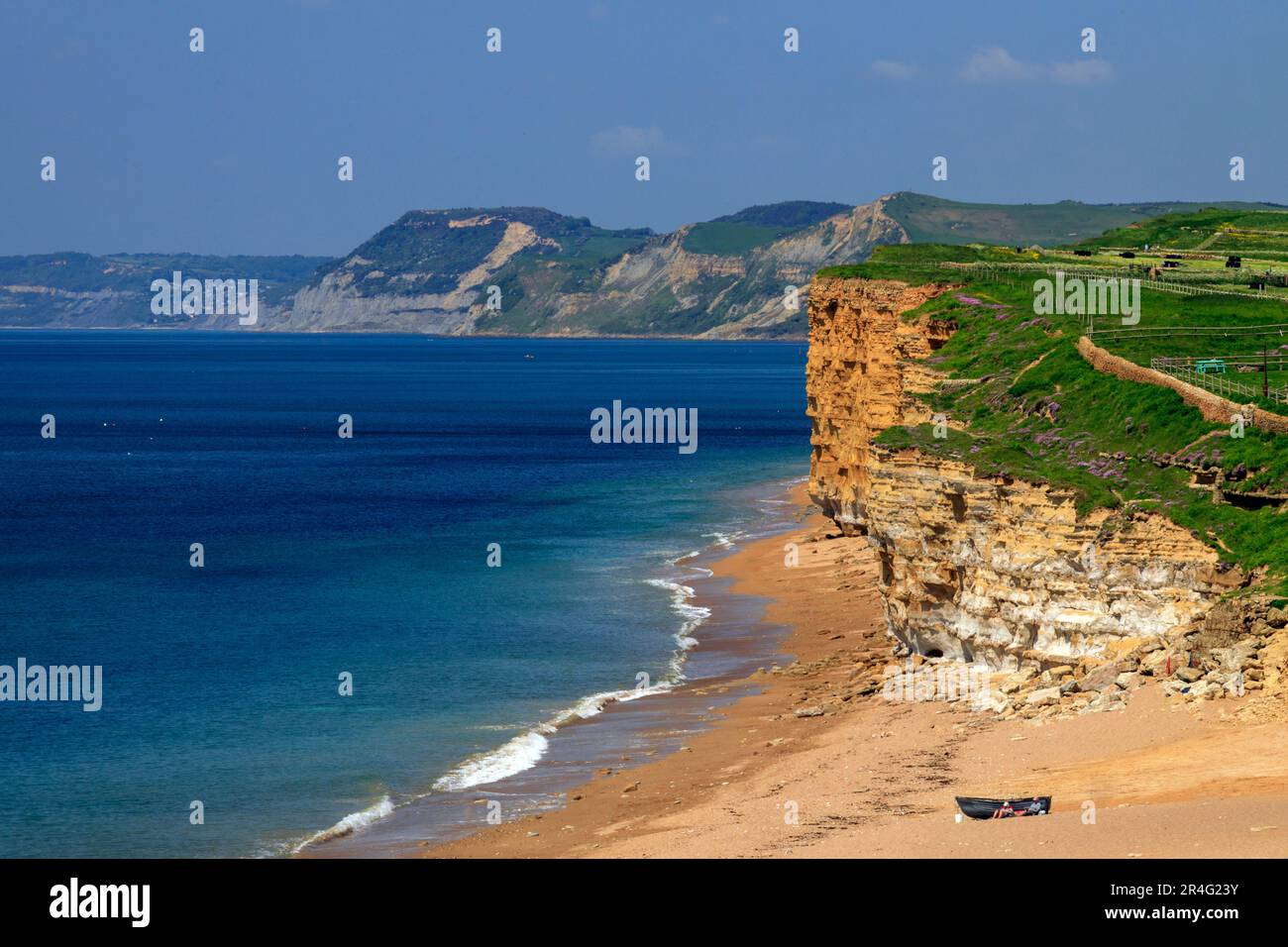 The dramatic and unstable sandstone cliffs at Burton Bradstock are a ...