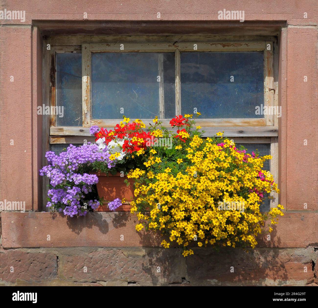 North, Black Forest Flowers at the barn window, Baden, Wuerttemberg ...