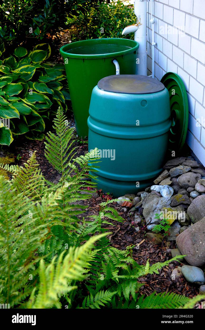 Rainwater tank on gutter Stock Photo - Alamy