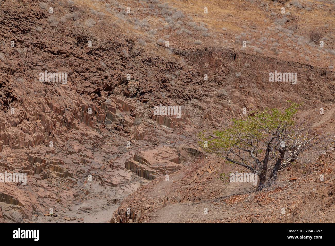 Namibia, organ pipes Stock Photo - Alamy