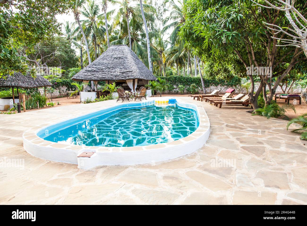 Kenya. Luxury swimming pool in African garden with tipical local chairs ...
