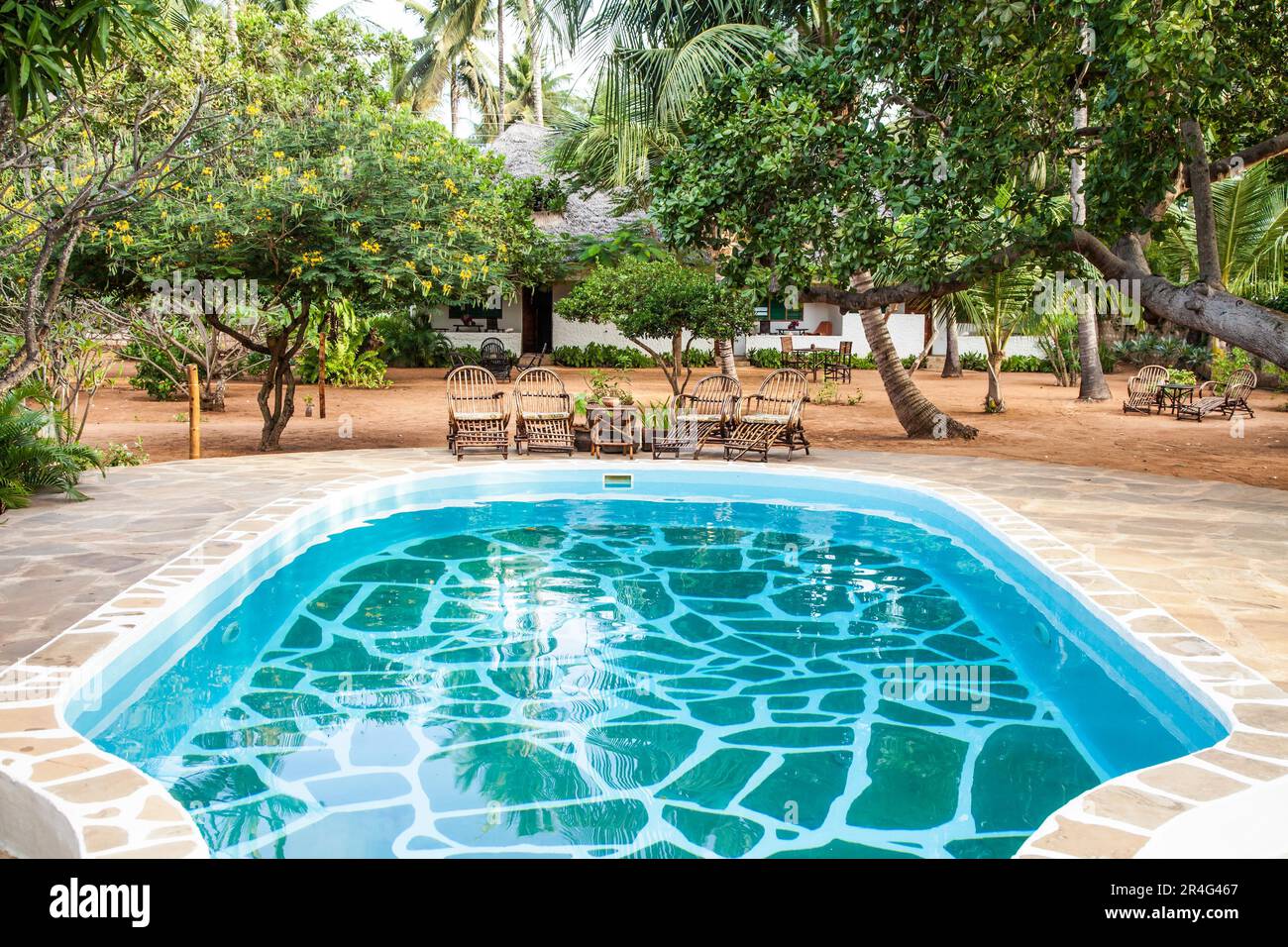 Kenya. Luxury swimming pool in African garden with tipical local chairs ...