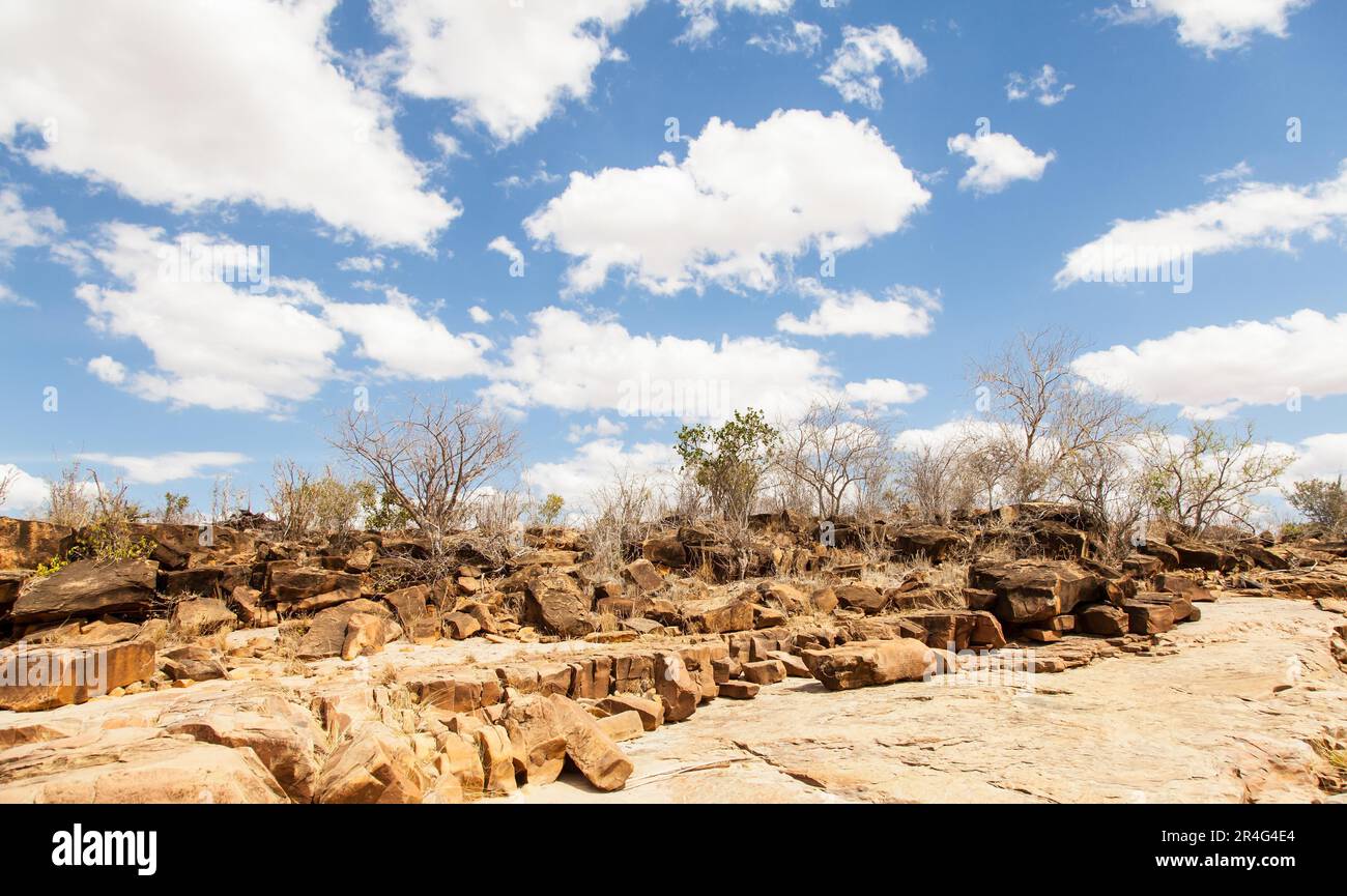Kenya, Tsavo East National Park. A path in the middle of savanna with a ...