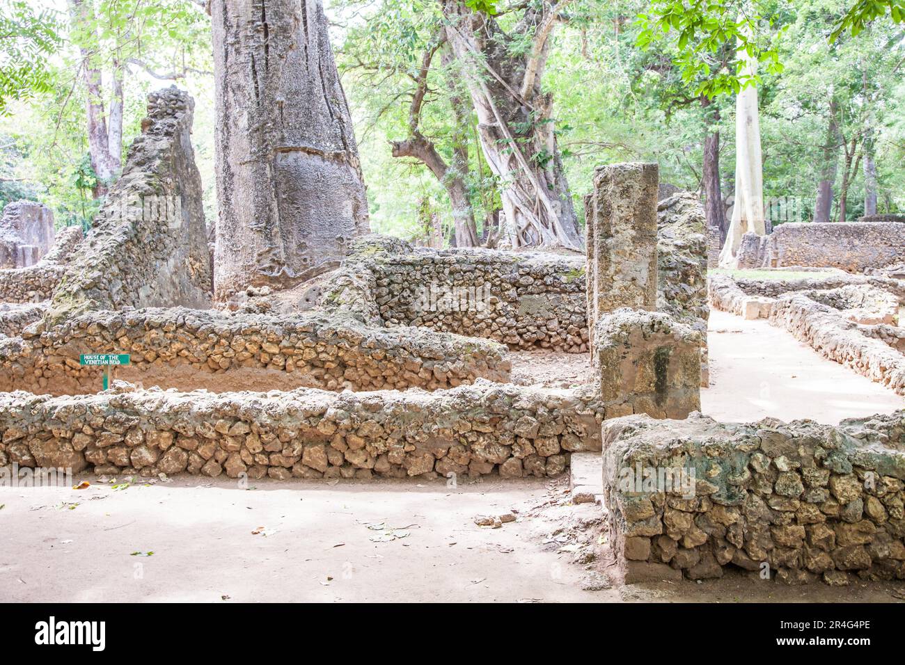 Gede ruins in Kenya are the remains of a Swahili town, typical of most ...