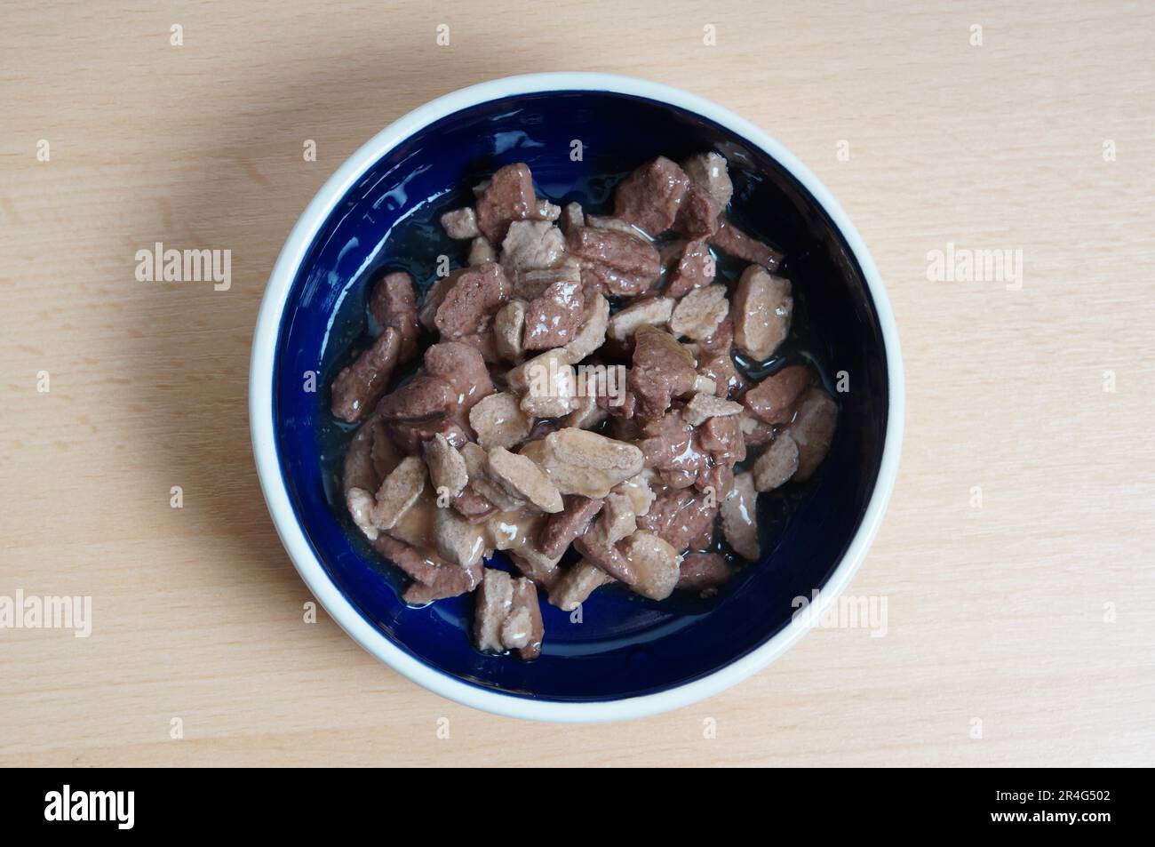 Dog wet food hi-res stock photography and images - Alamy