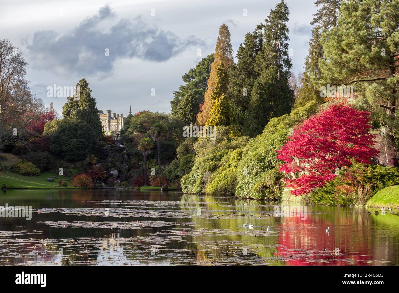 Sheffield Park Gardens Stock Photo - Alamy