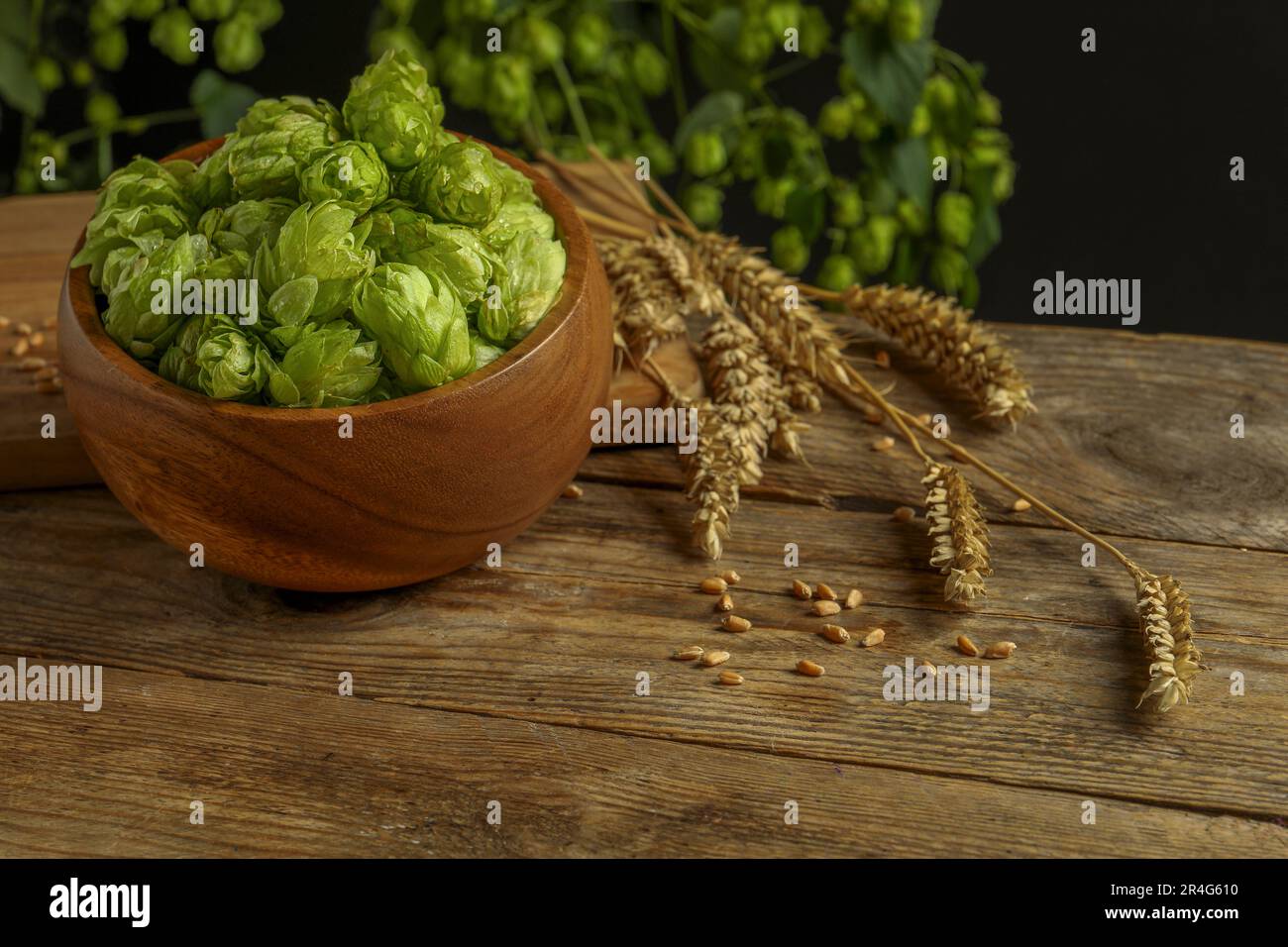 Fresh green wheat spikes hi-res stock photography and images - Alamy