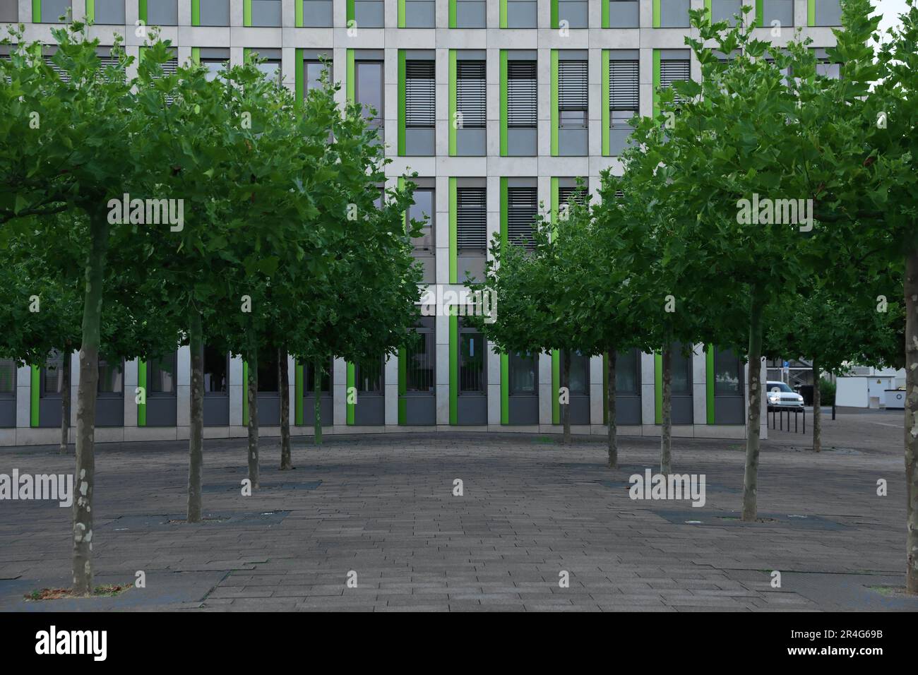 Beautiful view of modern building with big windows and trees outdoors ...