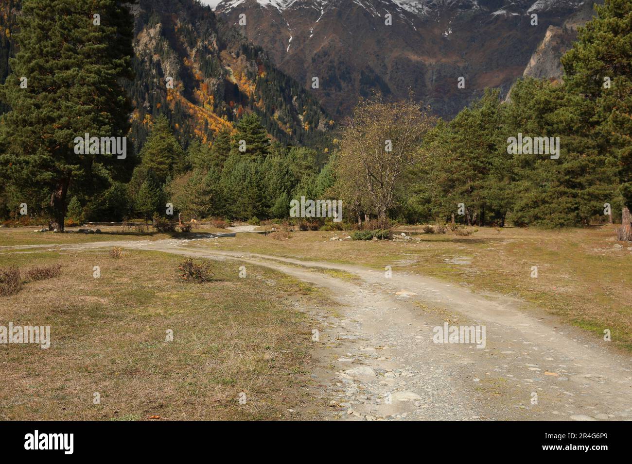 Picturesque view of pathway in beautiful mountains Stock Photo - Alamy
