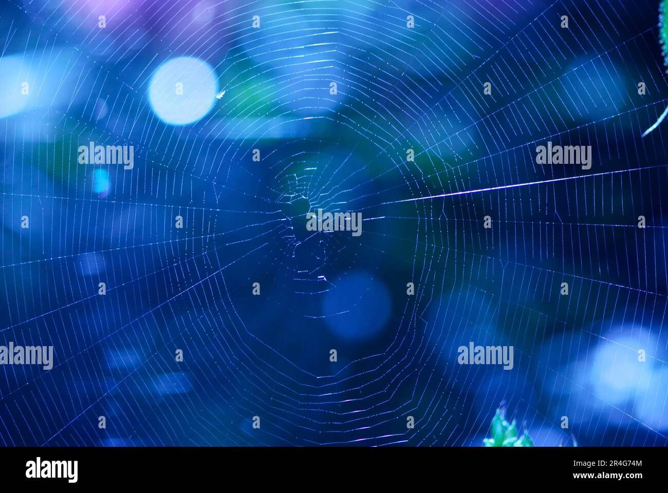 Abstract blue cobweb background with reflections Stock Photo - Alamy